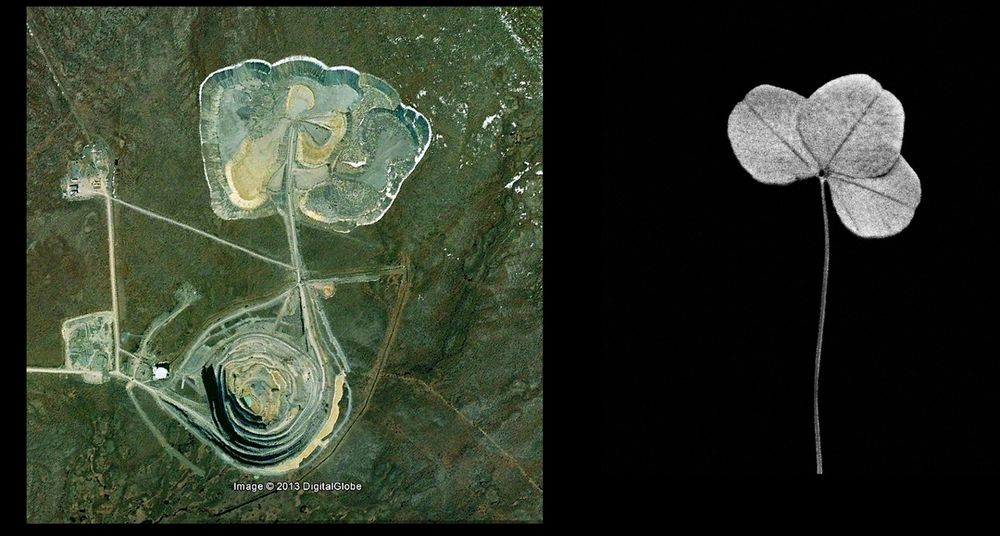 Pattern Recognition: Google Earth, Herbs, Haircuts and Mars ...