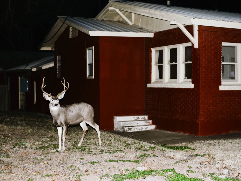 Alec Kaus - Lost in Transition | LensCulture