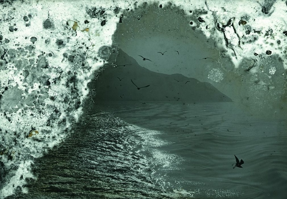 Mold is Beautiful - Photographs by Luce Lebart | LensCulture