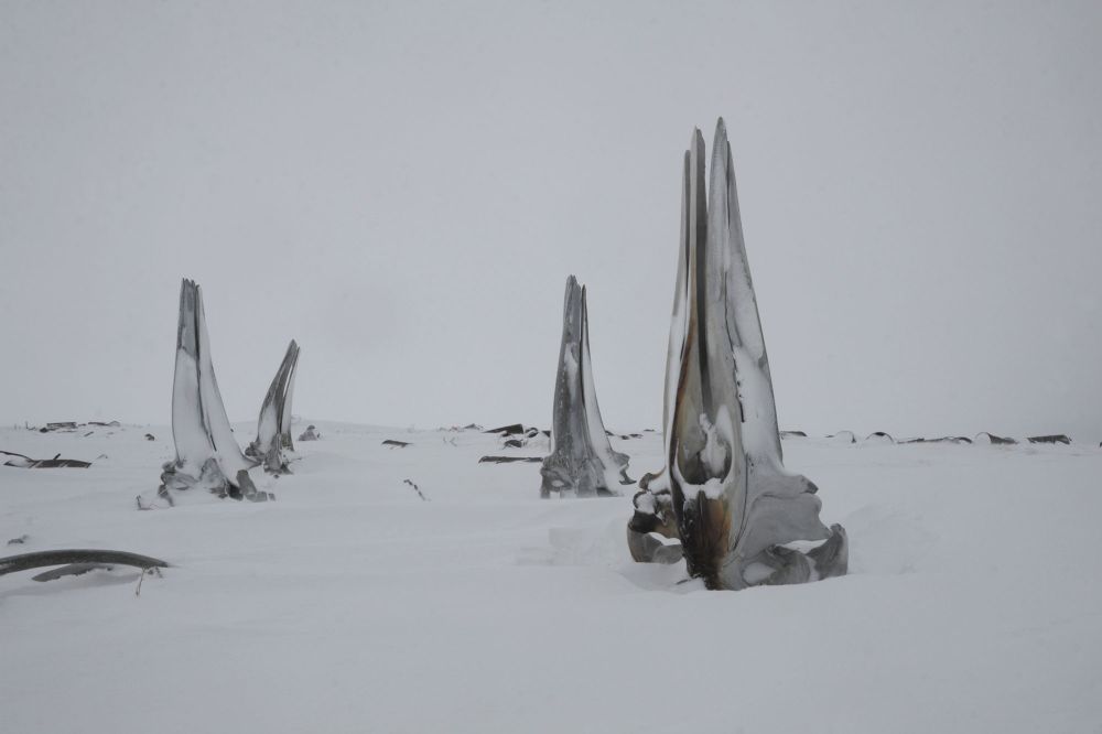 Andrey Shapran - Sea hunters of Chukotka. Inchoun. | LensCulture