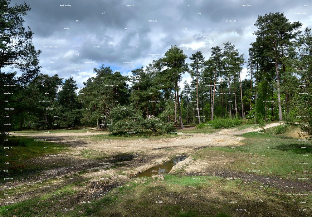 Roger Hopgood - Dead Zone: Denge Wood (2016); 3G Hinterland: Denge Wood ...