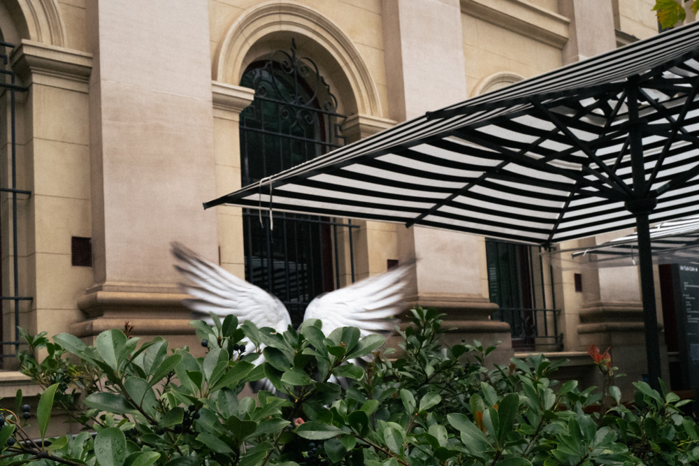 Matthew Mu - ... and then it disappeared. | LensCulture