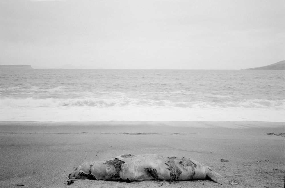 Ana Negri - Submission | LensCulture
