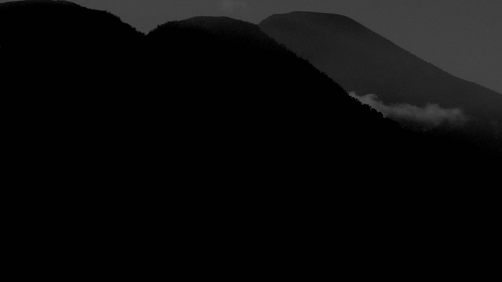 Nick Van Dyk - Almeja antes de la tormenta | LensCulture