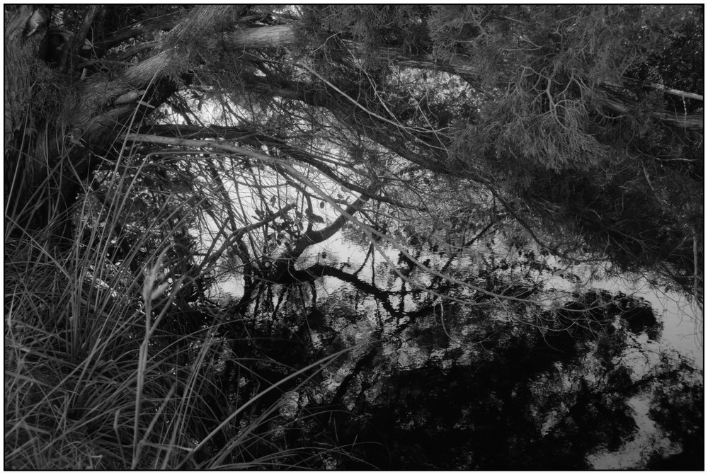 Gary Matson - Art Five 2024 | LensCulture