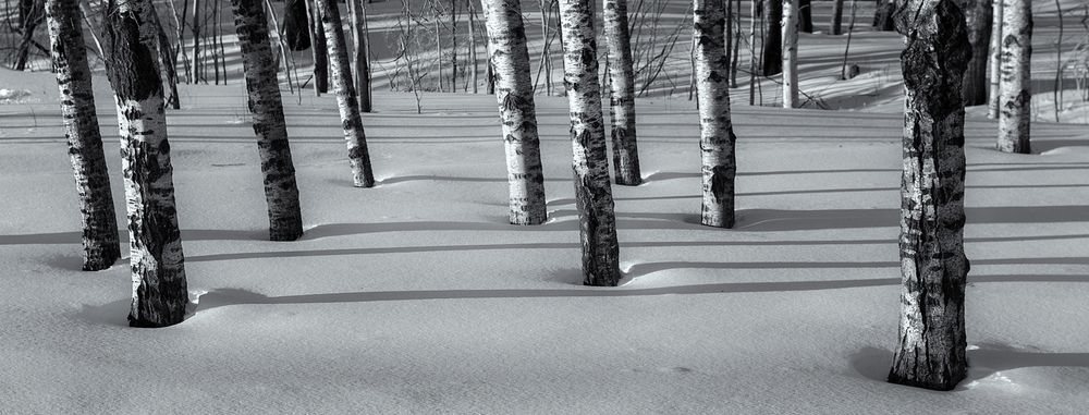 John Rodman - General Entry - Emerging Talent Awards | LensCulture