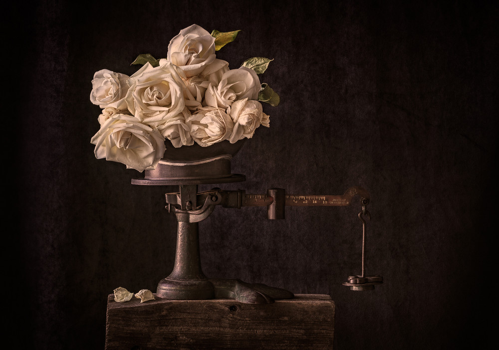 Lisa Miller - Still Life | LensCulture