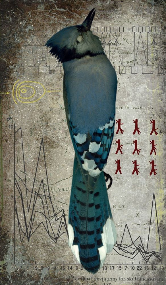 Peter Tonningsen - Descent | LensCulture