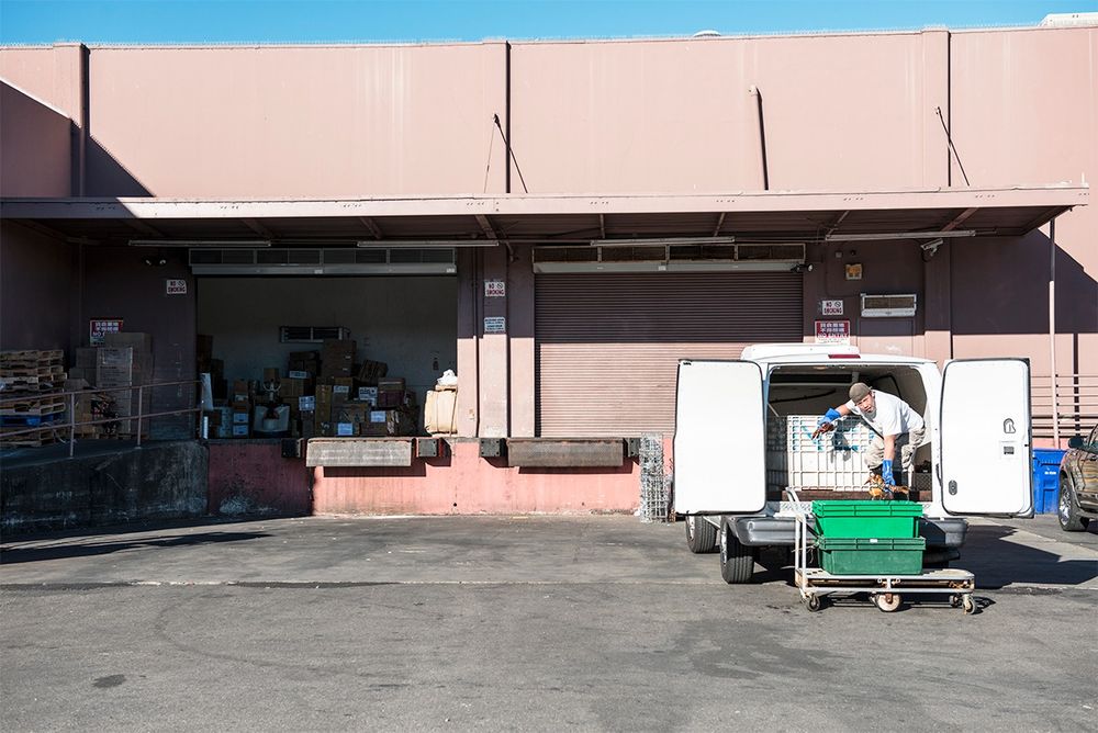 Matt Schoonmaker - Untitled (In Progress) | LensCulture