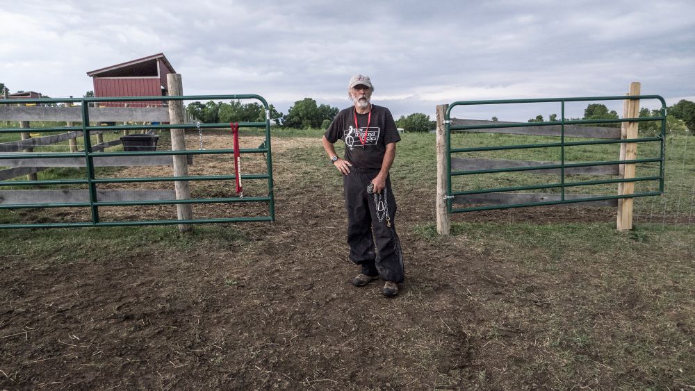 Ruth Foote - Shepherd / Farmer | LensCulture