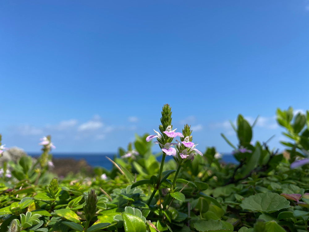 Sunay Yang - Rejoice | LensCulture