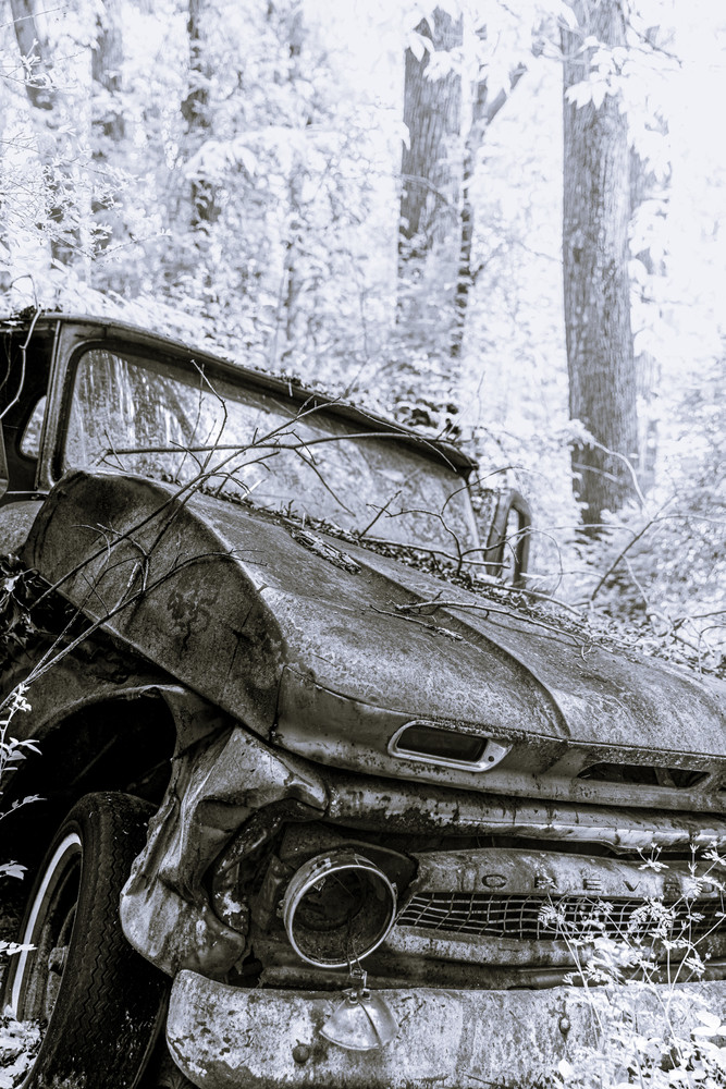 Taro Chujo - Rust in the snowy forest | LensCulture