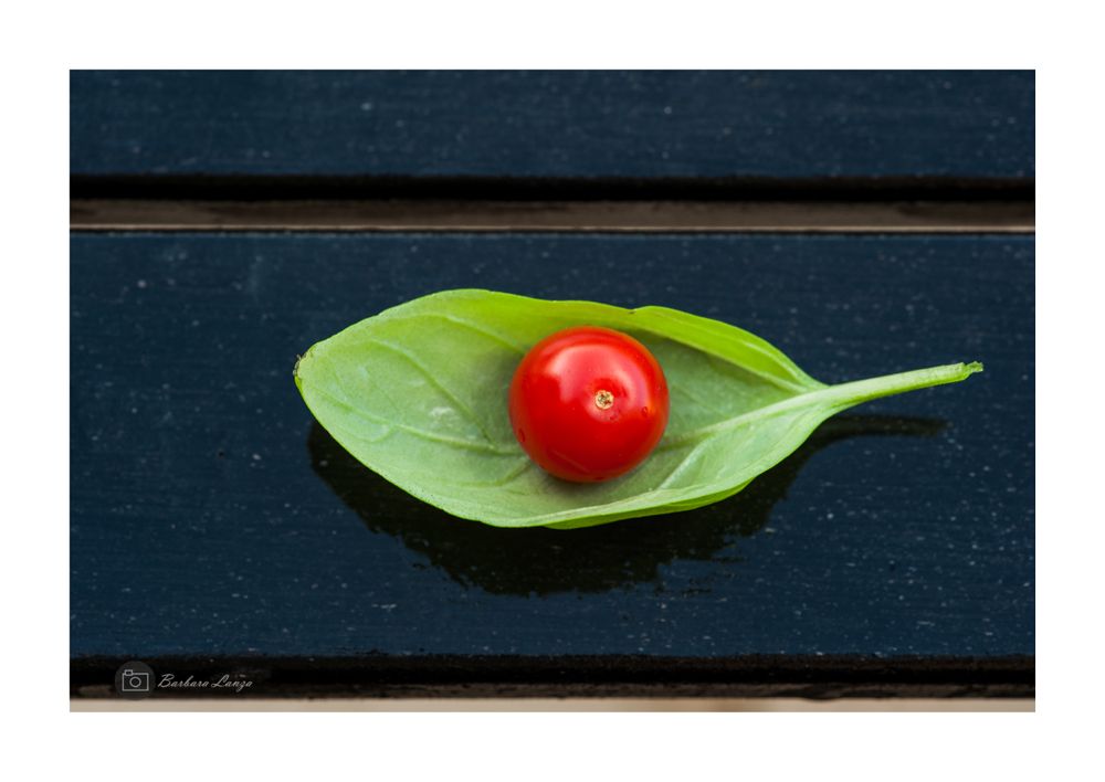 Barbara Lanza - Tomatoes | LensCulture
