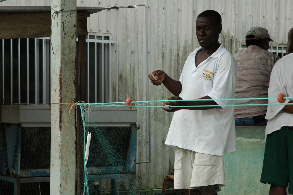 Robert LaForest - Robert LaForest | LensCulture