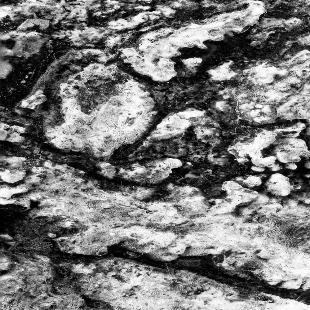 Patrick Ooms - Material from our planet | LensCulture