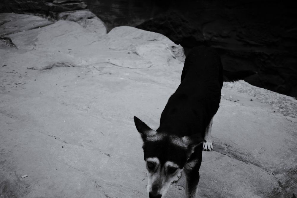 Déborah NANNI-DEMONT - The moon never forgets | LensCulture