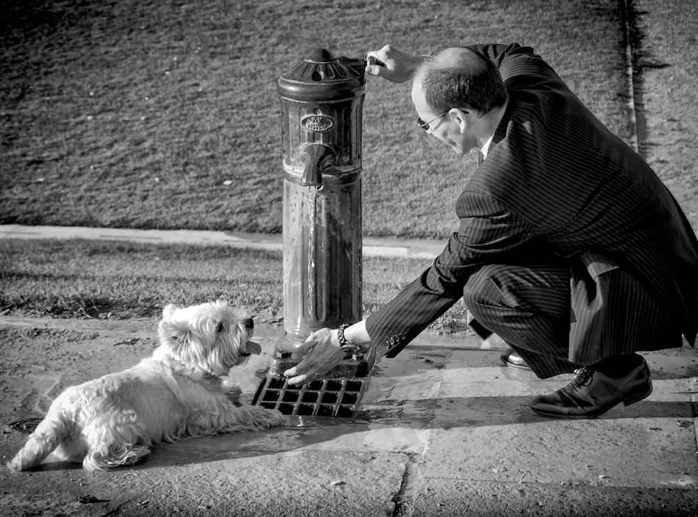 Pete Law | Street Photography Awards 2016 Entry