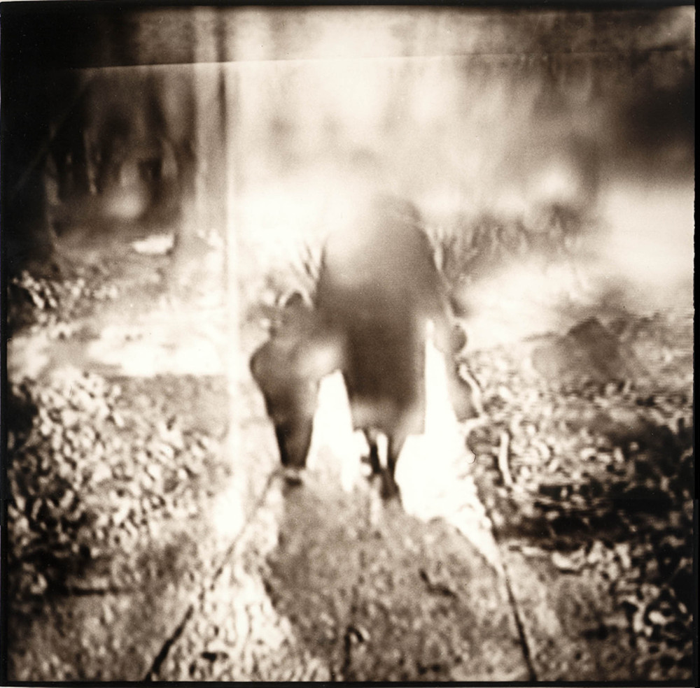 Stefano Bernardoni - VISUAL THRESHOLDS | LensCulture