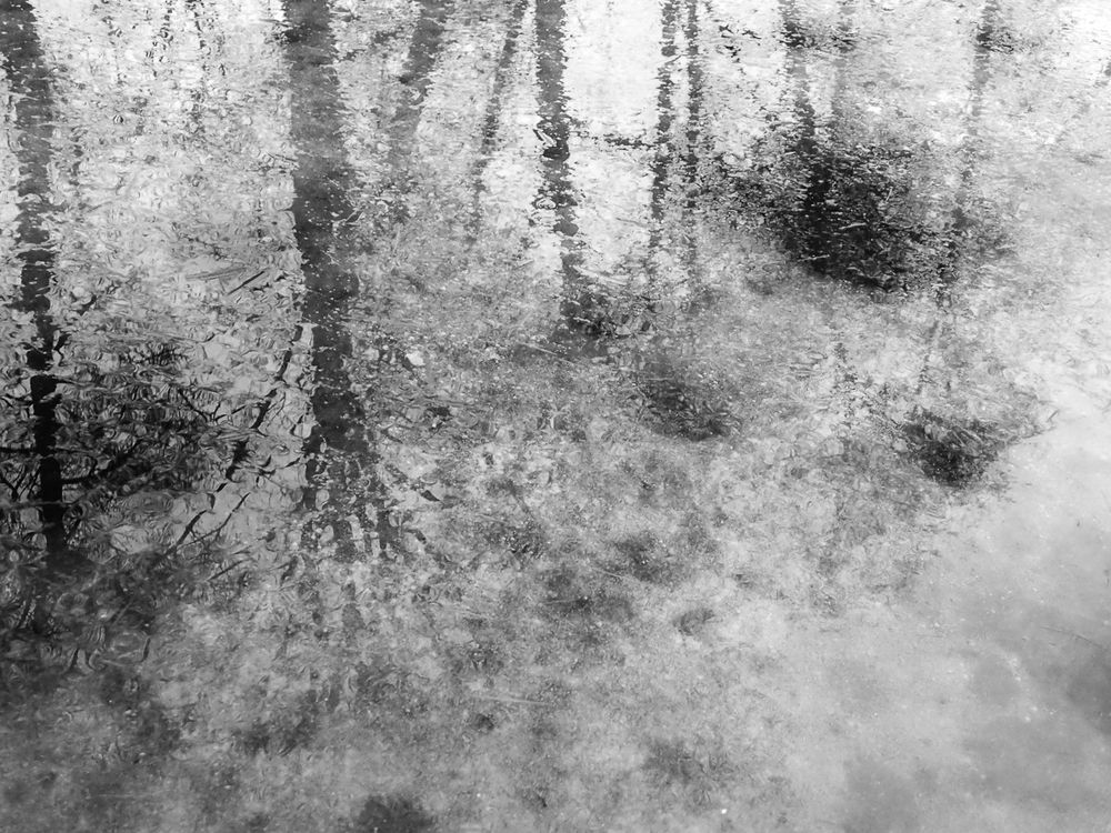 Rixa Lohmann - Grauzeit // A grey world | LensCulture