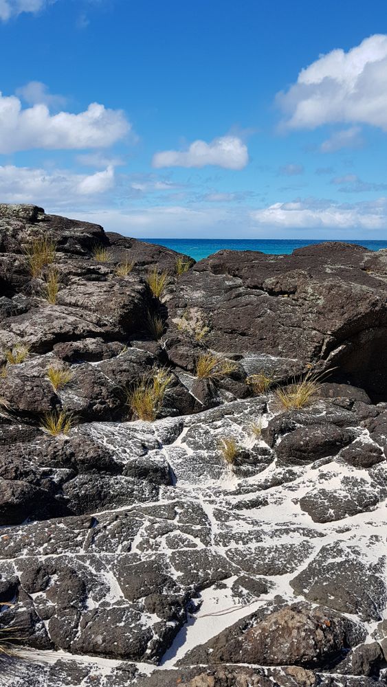 Merryn Jones - Submission | LensCulture