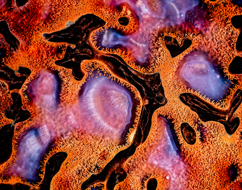 Randy Fullbright - Dinosaur bone | LensCulture