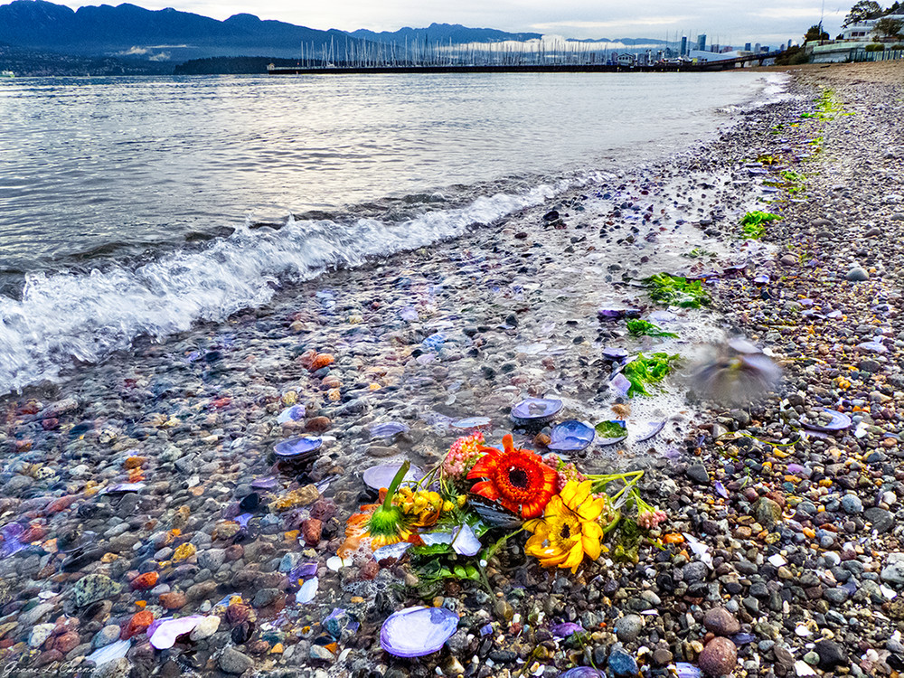 Gresilda L Cuenca - Seashore Landscape Photography | LensCulture