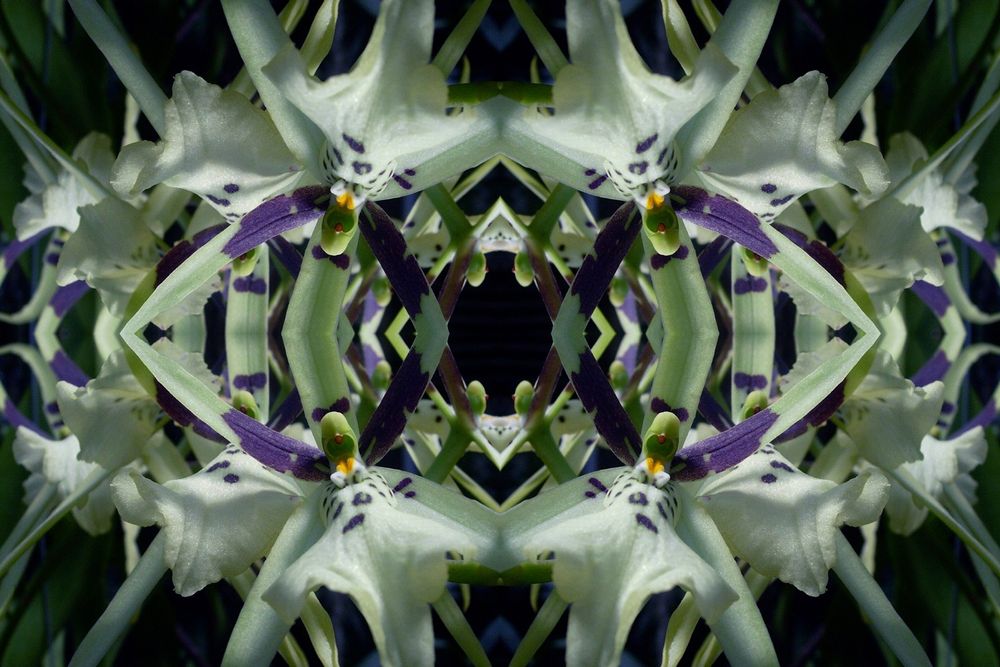 Daniel Teafoe - THE SERENITY THROUGH SYMMETRY PROJECT (RANDOM ...