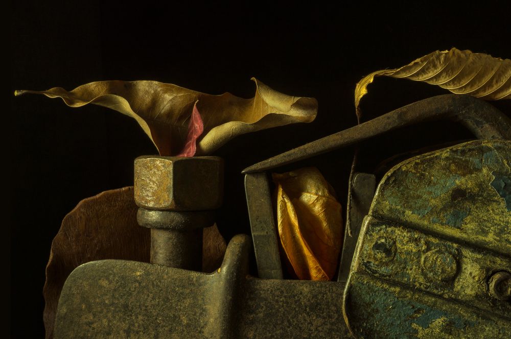 allan markman - From the Ground Up — Still life photography of Allan Ma ...