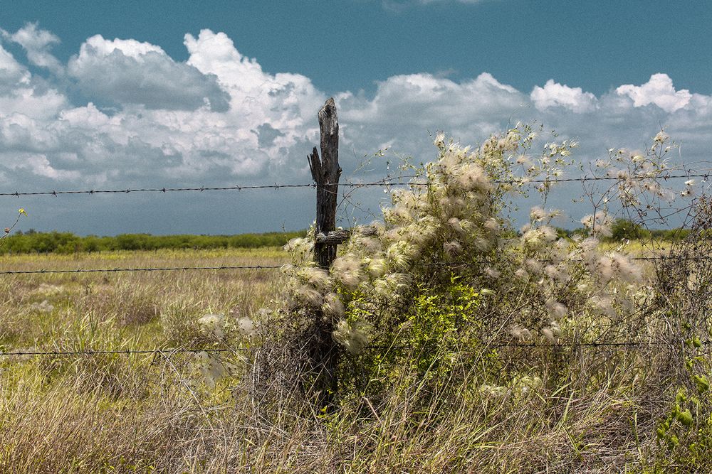 Seth Adrián - Místicos fulgores de mi pueblo | LensCulture
