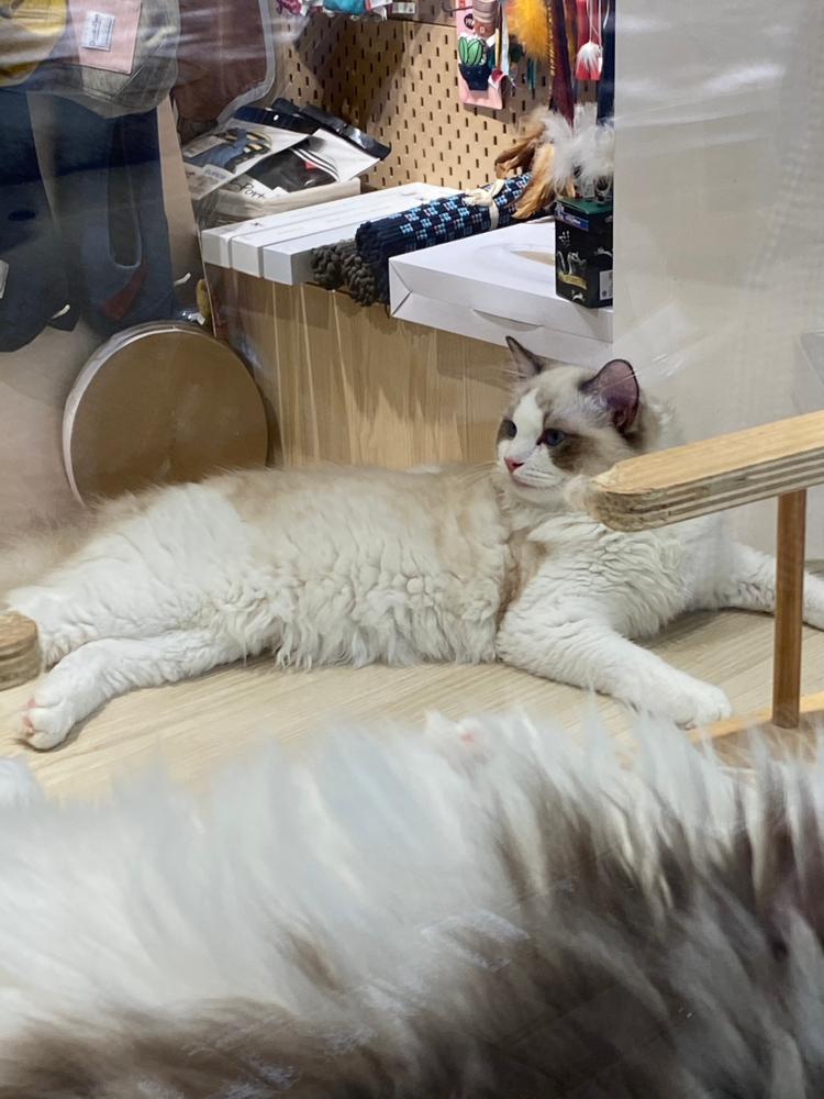 Matteo Pandolfi - Single Photo Category | LensCulture