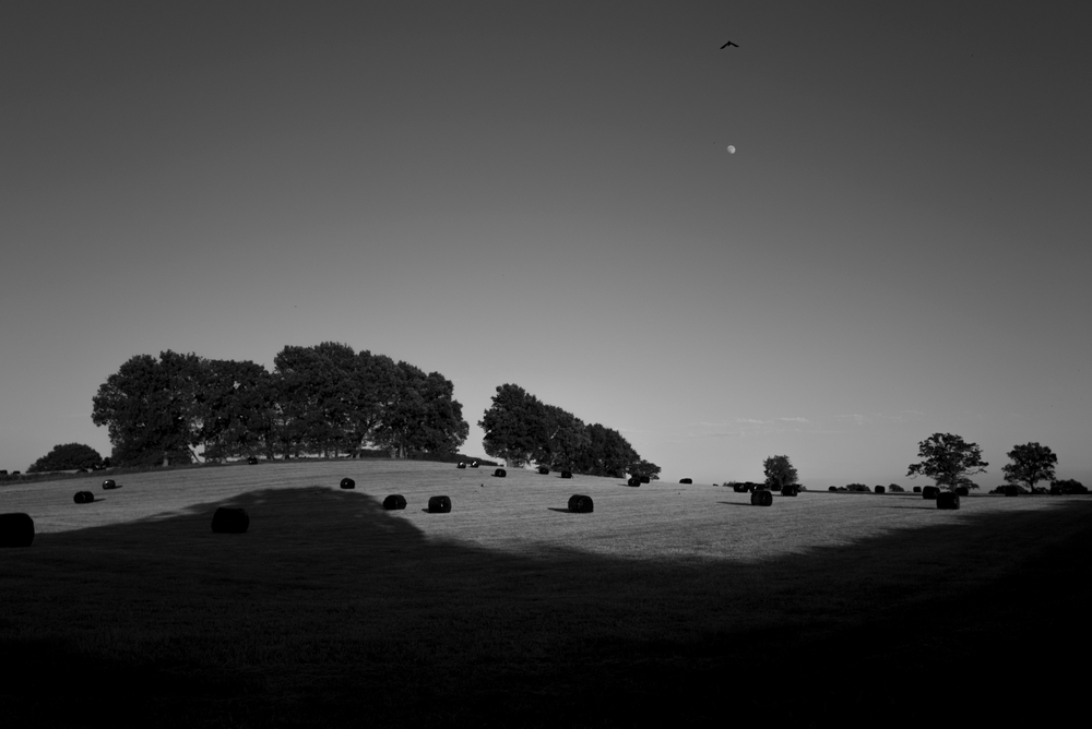 Mathieu Chaze - Rock ... Paper ... Scissors! | LensCulture