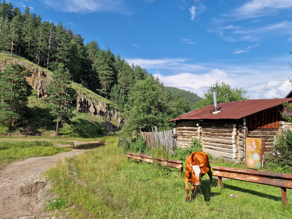Philipp Grigoryev - Summer in Bashkortostan | LensCulture