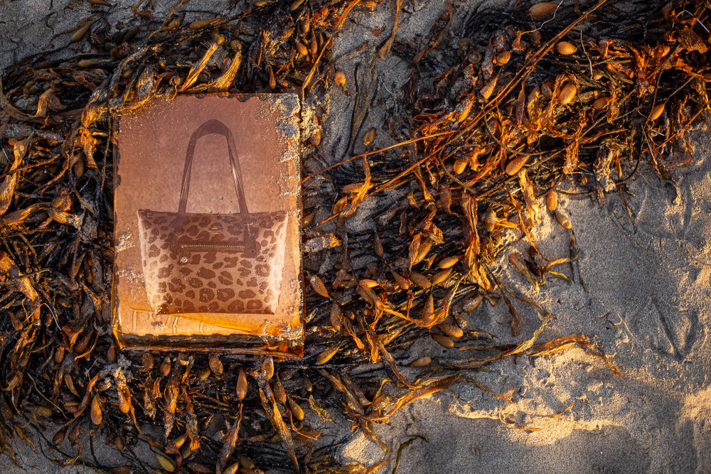 Kalvino Coria - Amber-types: Family Preservation/Taxonomy | LensCulture