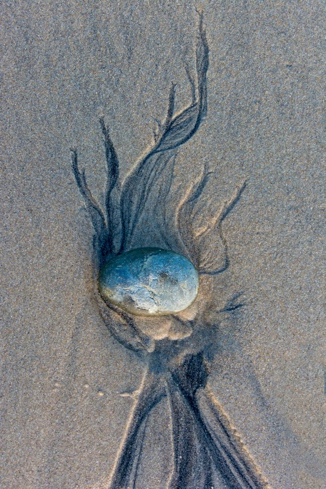 Willa Davis - Of the Sea, Sand and Stones | LensCulture