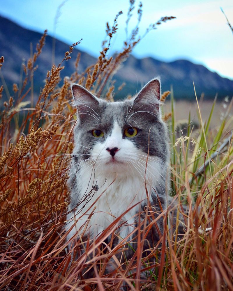 Maria Roper - Rio | LensCulture