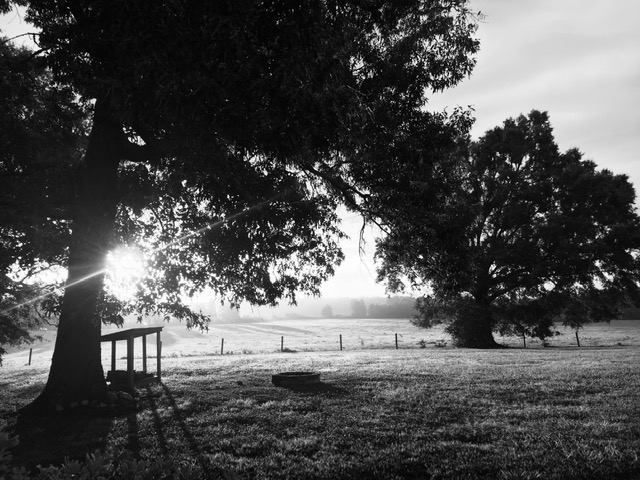 Lisa Rhoden Boyd - The Great Divide | LensCulture