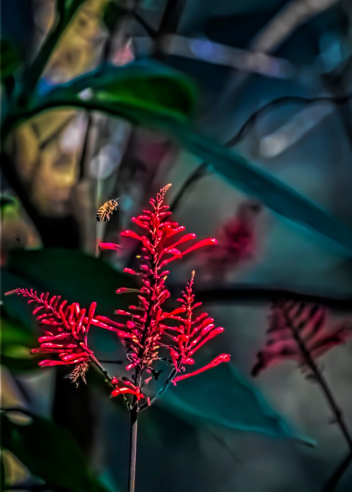 Robert Flatt - Submission - Life's Fragile Intensity | LensCulture