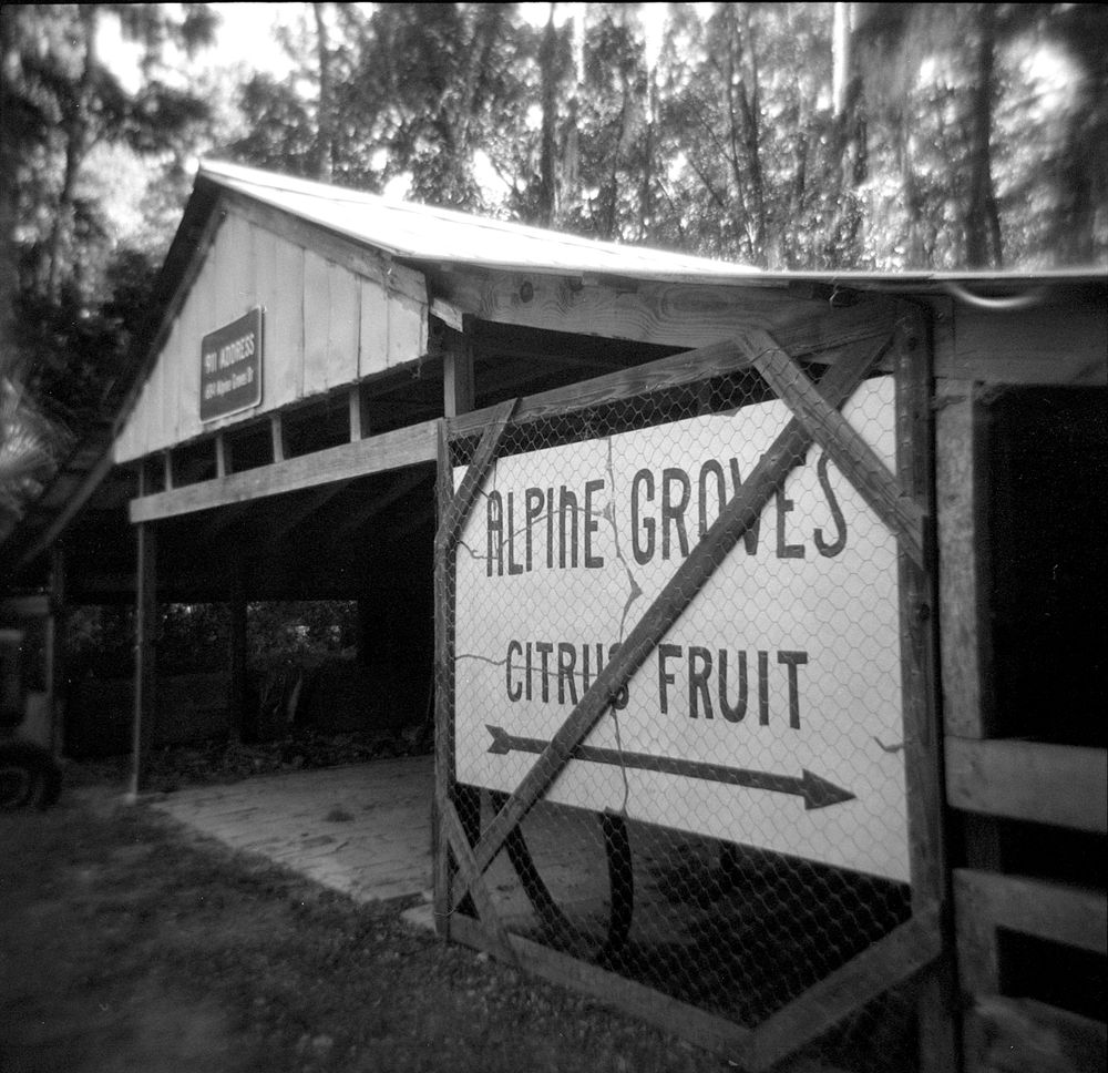 Jasmine Ruffin - Black & White Series | LensCulture