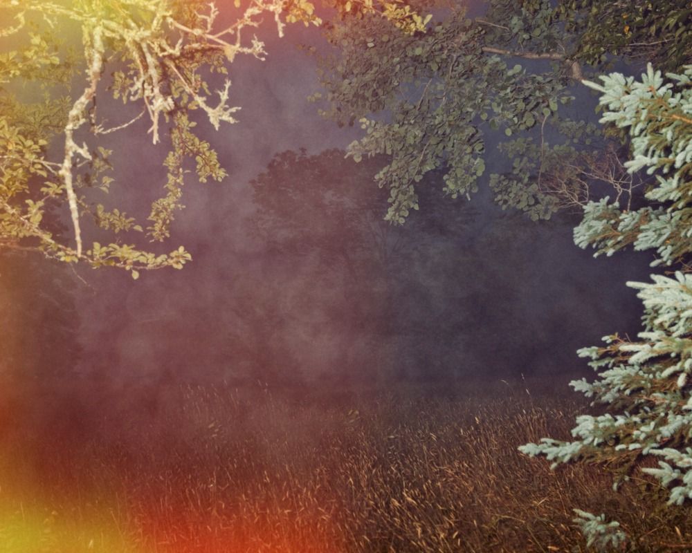 Paul Jimenez Thulin - Pine Tree Ballads | LensCulture