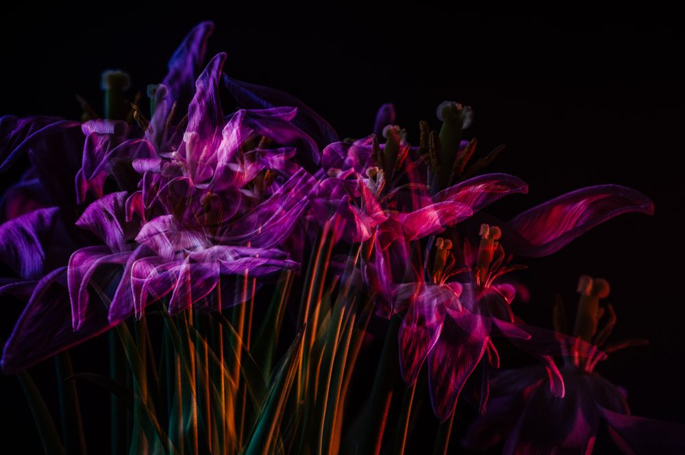 Heather Bragman - Submission | LensCulture