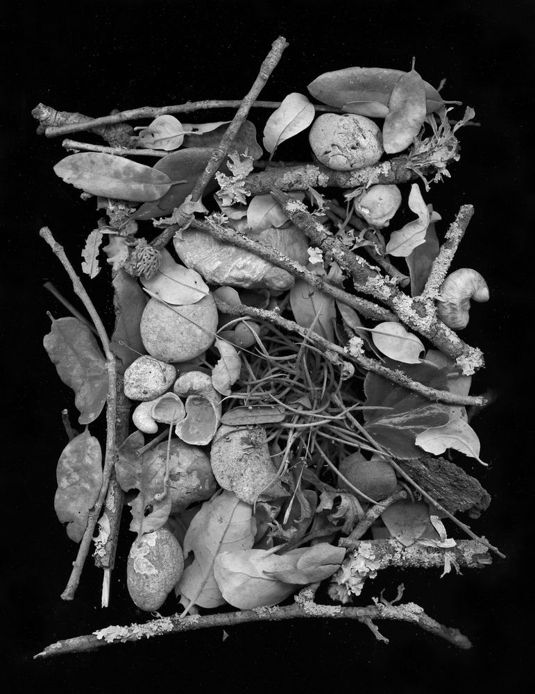 Ray Herman - Submission | LensCulture