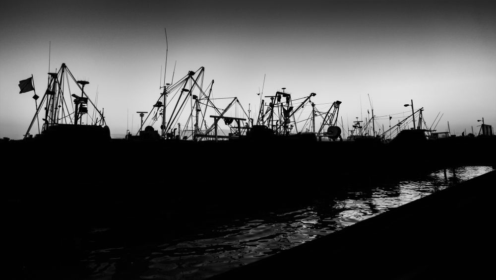 Tony Barbour - Untitled | LensCulture