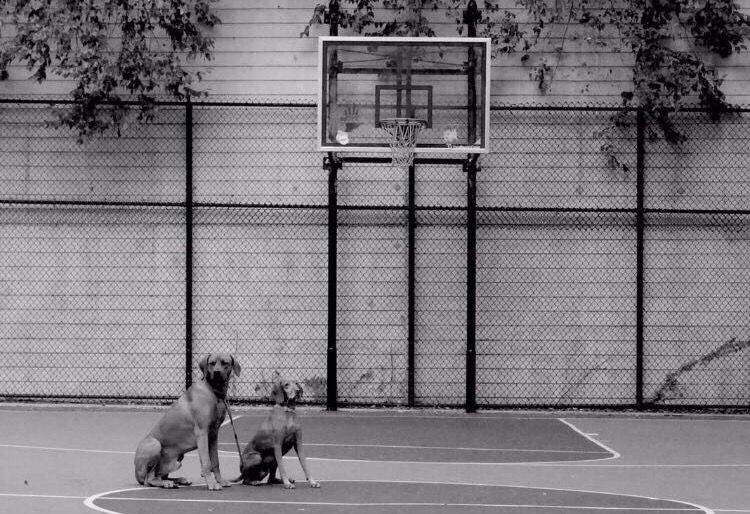 Aaron Haddad - Submission | LensCulture