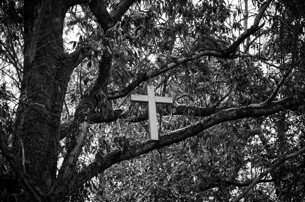 David Dickie - Half Century of New | LensCulture