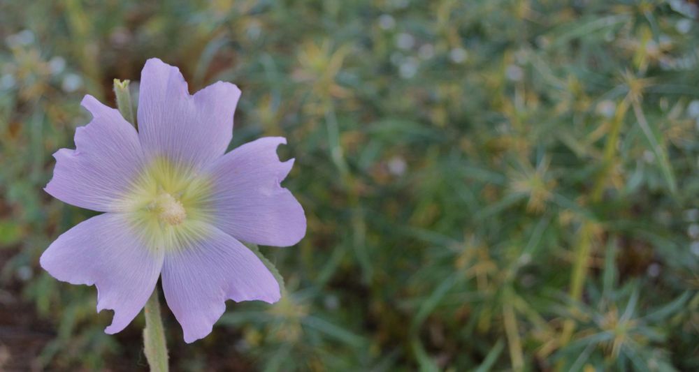 Autumn Davidson - Submission | LensCulture