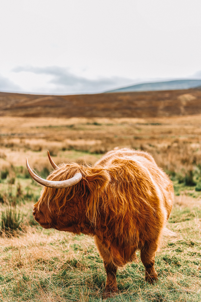 Simon Durrer - Submission | LensCulture