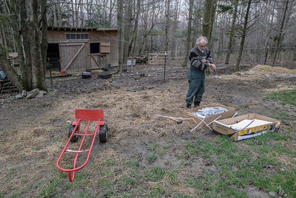 Ruth Foote - Shepherd / Farmer | LensCulture