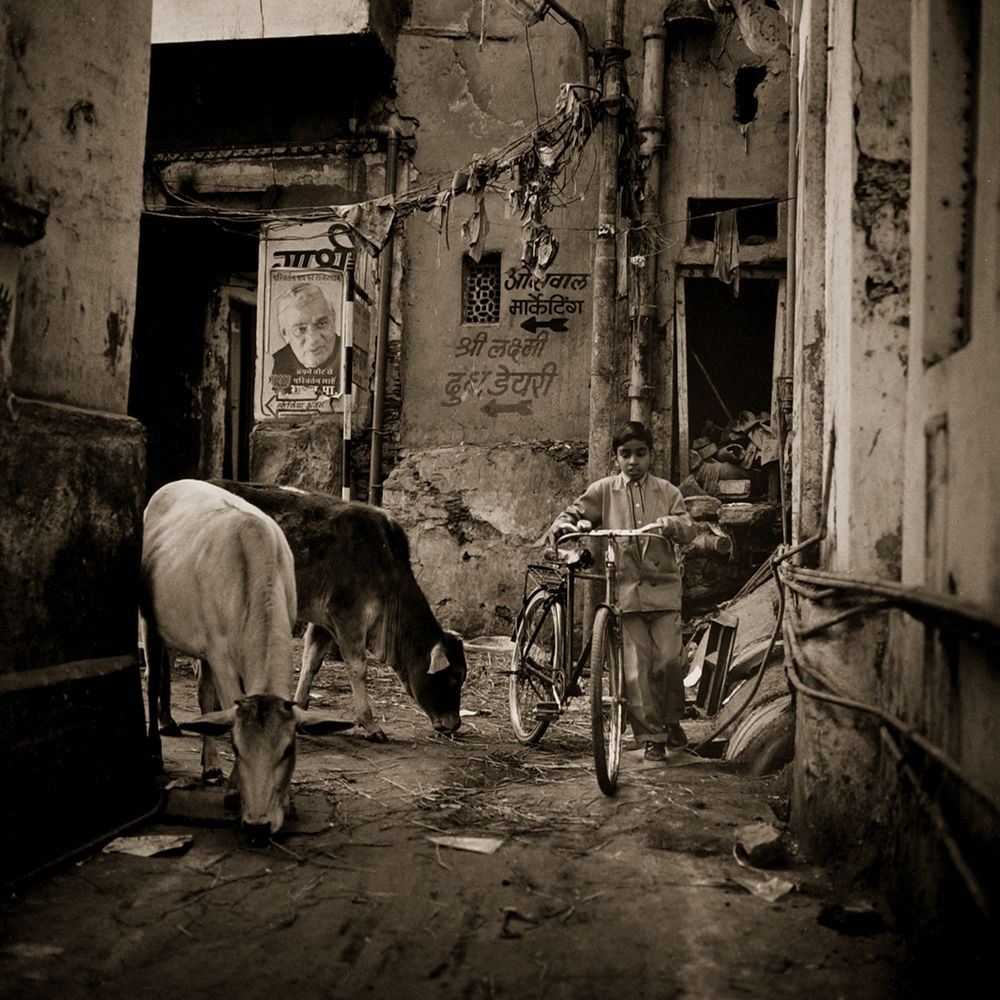 Steven Brock - Ancient Presence | LensCulture