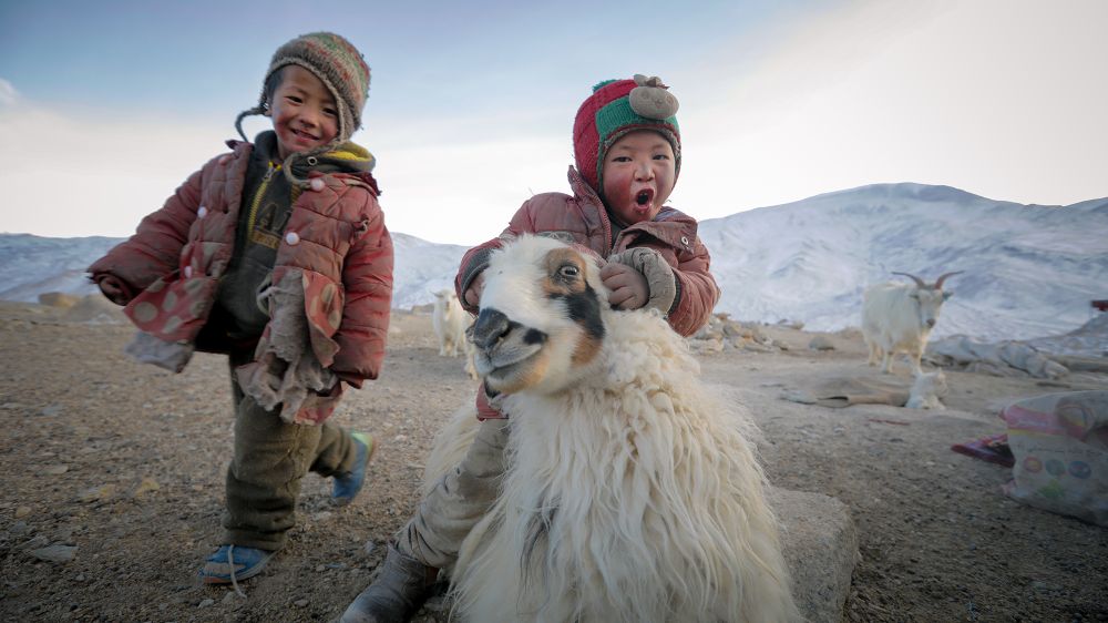 Shaktiraj Jadeja - The Changpas Of Changthang. | LensCulture