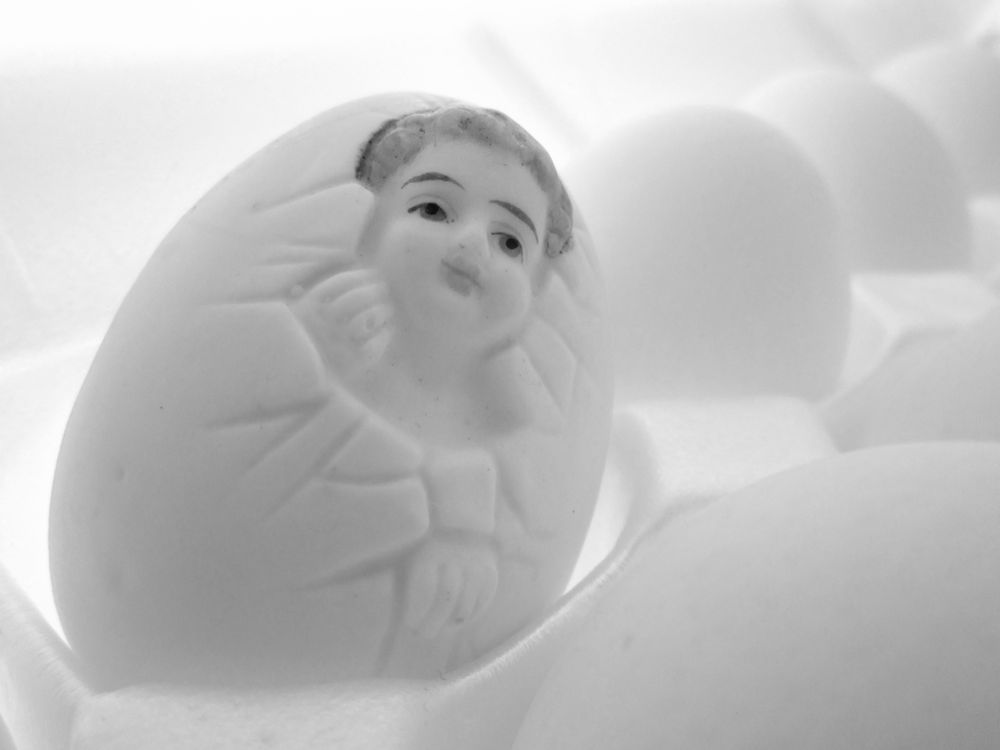 Daniel Teafoe - For GAVIN TURK'S PORTRAIT OF AN EGG PROJECT - PHOTO ...